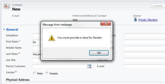 No Default Value On Two Options Field Dynamics Crm 2011 Magnetism Solutions Nz Auckland